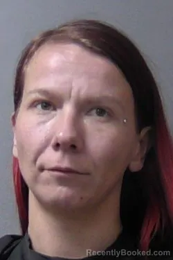 Courtney Kay Hinson Arrest & Booking Info | Madison County, IN