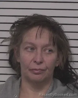 Amy Marie Booth Arrest & Booking Info | Iredell County, NC