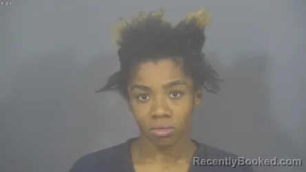 Dominique Unique Smallwood Arrest & Booking Info | St Joseph County, IN