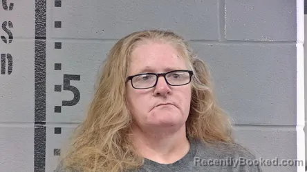 Doreen Dosher Mugshot & Arrest Info | White County, IN