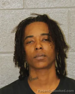 Lasean Tiara Faison Mugshot & Arrest Info | Mecklenburg County, NC