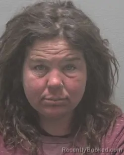 Erin Katelyn Mills Arrest & Booking Info | New Hanover County, NC