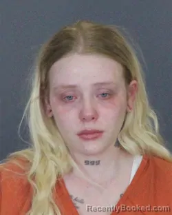 Harmony Grace Fletcher Mugshot & Arrest Info | St Clair County, MI