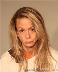 Amanda Leigh Benson Mugshot & Arrest Info | Anoka County, MN