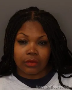Erica Denise Gates Mugshot & Arrest Info | Dakota County, MN