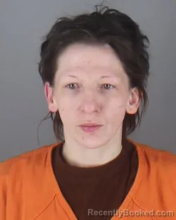 Alyssa Kathryn Schlinger Arrest & Booking Info | Hennepin County, MN