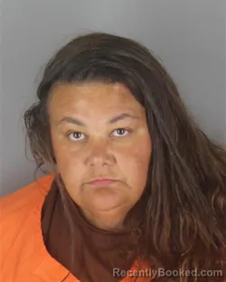 Jerryn Rae Lambert Mugshot & Arrest Info | Hennepin County, MN