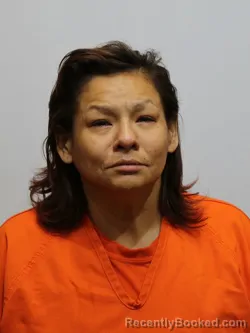 Elaina Wilson Arrest & Booking Info | Itasca County, MN