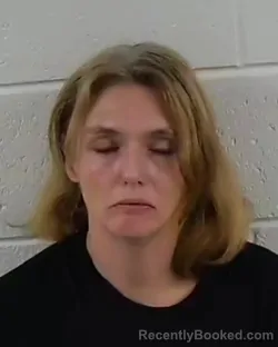Rhonda Marie Meeks Arrest & Booking Info | Surry County, NC