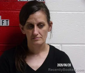 Brittany Leigh Mcabee Mugshot & Arrest Info | Swain County, NC