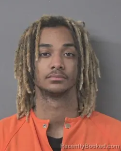 Wilson County Arrests & Mugshots | North Carolina