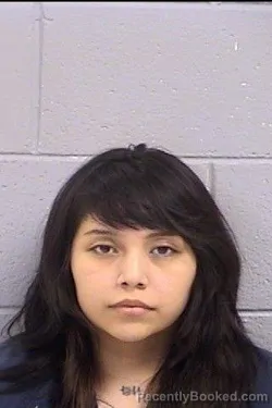 Rani Jones Arrest & Booking Info | San Juan County, NM