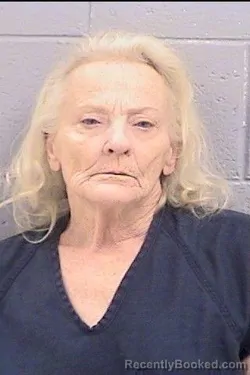 Pamela Denise Stroud Mugshot & Arrest Info | San Juan County, NM