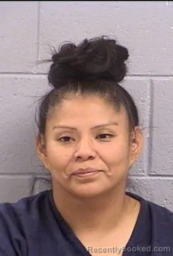 Chantell Denise Johnson Mugshot & Arrest Info | San Juan County, NM
