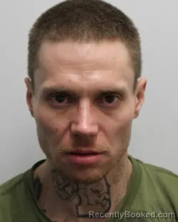 Chemung County Arrests & Mugshots | New York