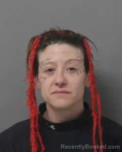 Elizabeth Ann Northrup Arrest & Booking Info | Steuben County, NY