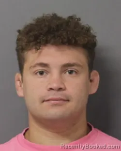 Donavan Cole Smith Mugshot & Arrest Info | Steuben County, NY