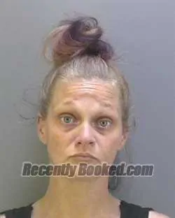 Danielle Ashley Pent Mugshot & Arrest Info | Hendry County, FL