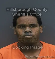 Jabari Josiah Emir Wright Mugshot & Arrest Info | Hillsborough County, FL