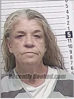 Donna Sue Mathis Mugshot & Arrest Info | Bay County, FL