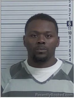 Rhakeem Ebony Ming Mugshot & Arrest Info | Bay County, FL