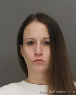 Ashley Rose Degroot Mugshot & Arrest Info | Brown County, WI