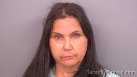 Tina Marie Simmons Mugshot & Arrest Info | Sumner County, TN