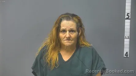 Rachel Lynn Bryson Arrest & Booking Info | Staunton County, VA
