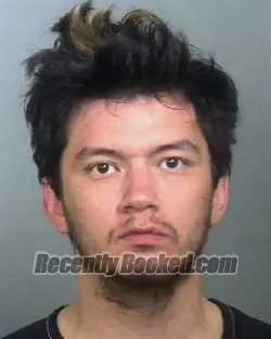 Kendall Alexander Ree Mugshot & Arrest Info | Manatee County, FL