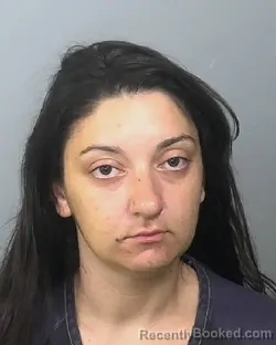 Breanna Noelle Padula Mugshot & Arrest Info | Manatee County, FL