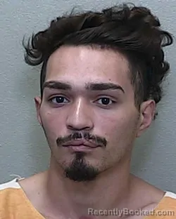 Nathan Alexis Aviles Mugshot & Arrest Info | Marion County, FL