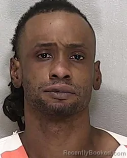 Travis Labrenta Williams Mugshot & Arrest Info | Marion County, FL
