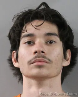 Ethan Ramirez Arrest & Booking Info | Polk County, FL