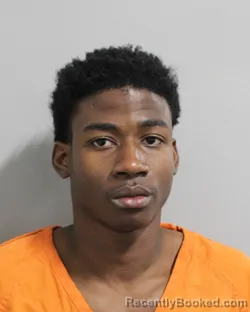 Jhonson Alfred Mugshot & Arrest Info | Polk County, FL