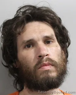 Donald Haney Mugshot & Arrest Info | Polk County, FL