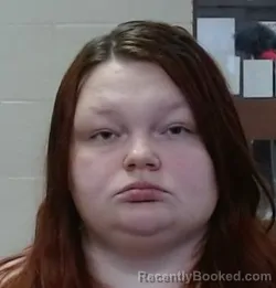 Destiny Cheyenne Jones Mugshot & Arrest Info | Sedgwick County, KS