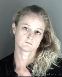 Heather Diane Morrison Mugshot & Arrest Info | Shawnee County, KS