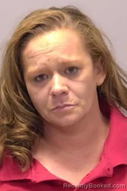 Shanielle Rae Perkins Mugshot & Arrest Info | Allen County, OH