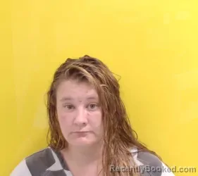 Jodi Beth Snyder Arrest & Booking Info | Fairfield County, OH