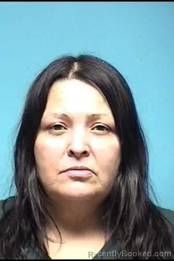 Kelly M Flores Mugshot & Arrest Info | Lorain County, OH