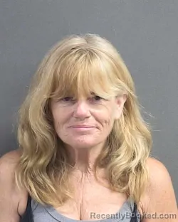 Carla J Ray Mugshot & Arrest Info | Volusia County, FL