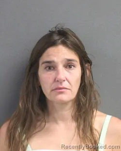 Lori Marie Flanzer Mugshot & Arrest Info | Volusia County, FL