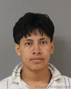 Jesus Lorenzo Mugshot & Arrest Info | Blount County, AL