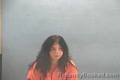 Stacey Michelle Fuller Mugshot & Arrest Info | Hempstead County, AR