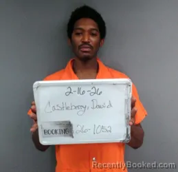 David Shiquelle Castleberry Arrest & Booking Info | Sebastian County, AR