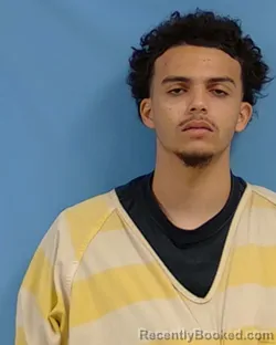 White County Arrests & Mugshots | Arkansas