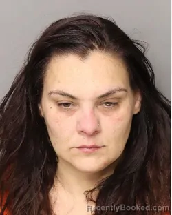 Christy Michelle Deese Mugshot & Arrest Info | Lancaster County, SC